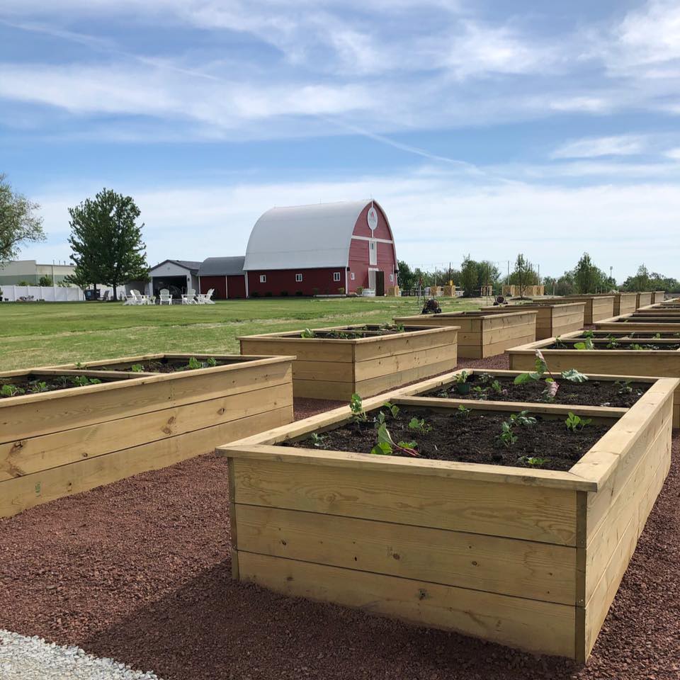 Exploring the Local Community at Navarro Farm