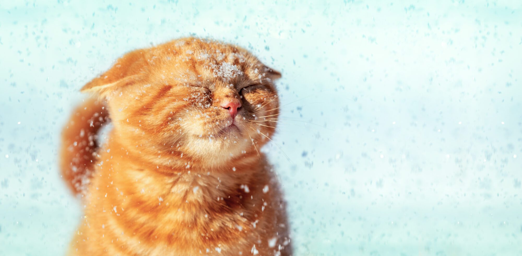 Helpful Resources for Overcoming Seasonal Winter Blues
